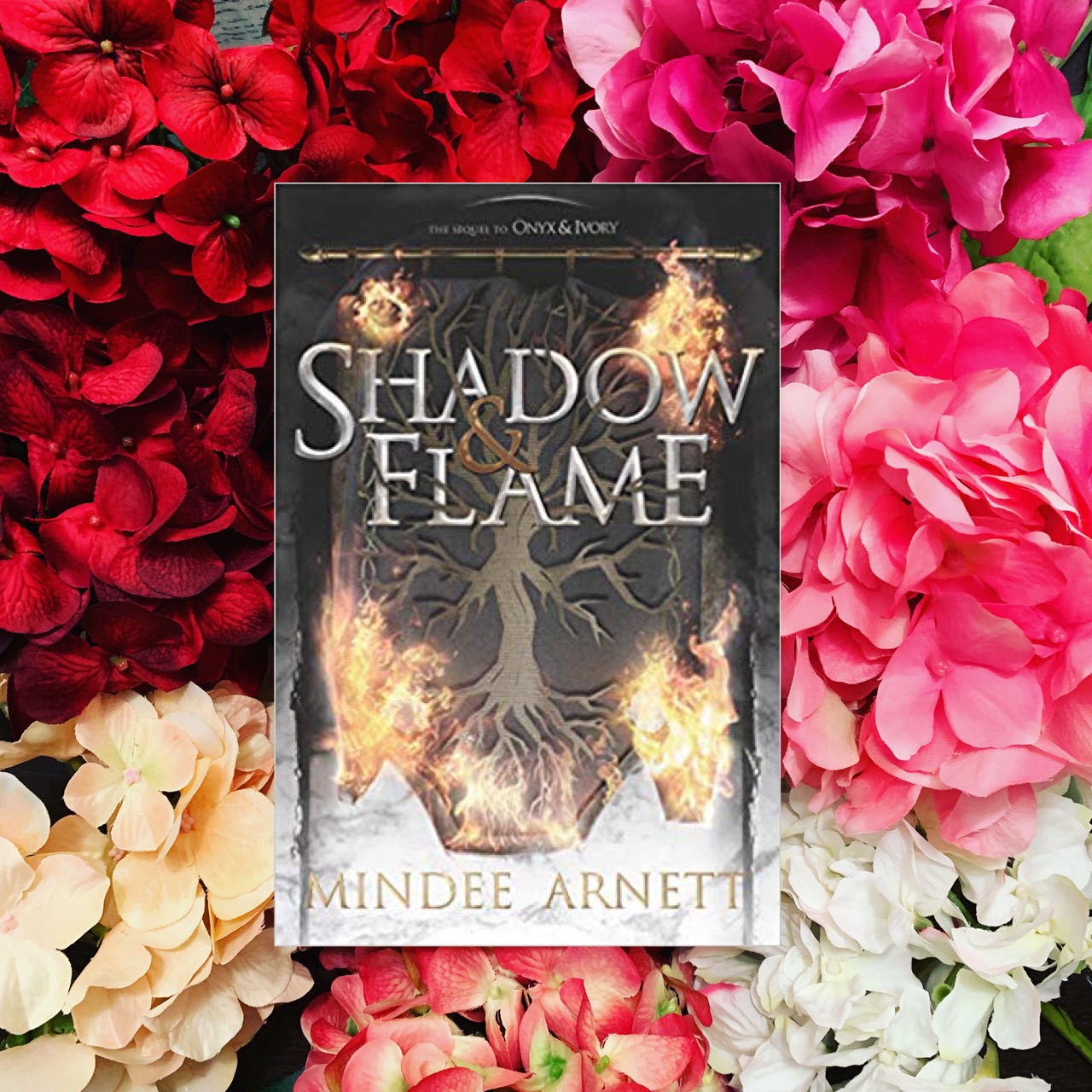 Read Along – Shadow & Flame by Mindee Arnett Part II The Paragon and ...