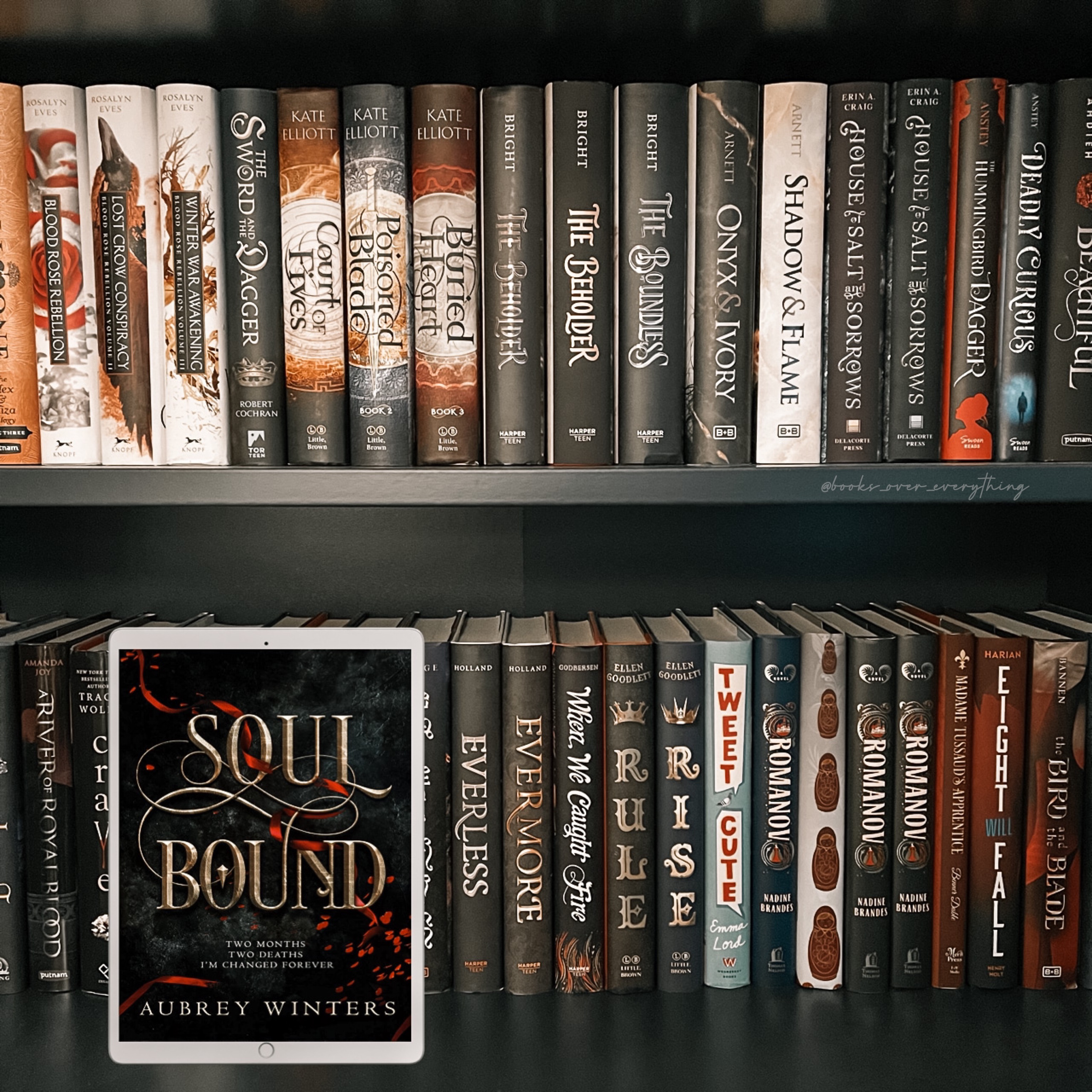 Review – Soul Bound by Aubrey Winters – Books Over Everything